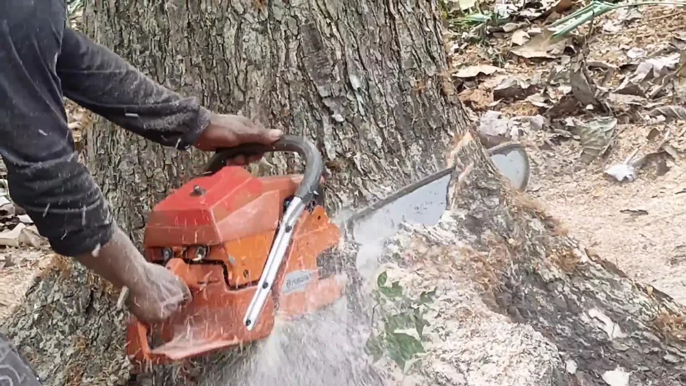 Powerful Chain Saws for Wood Cutting, Tree Trimming & Logging